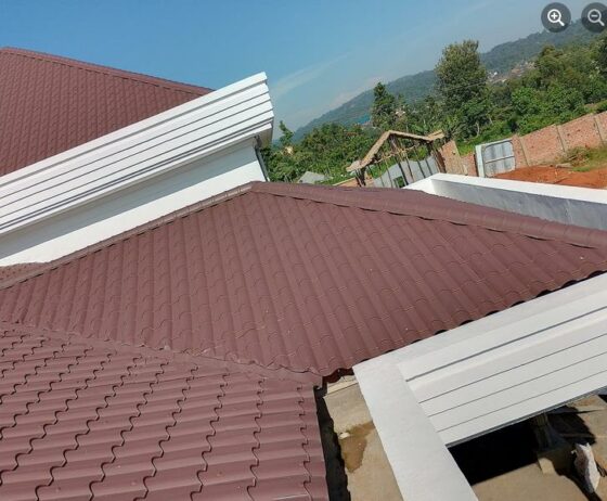 Photos of the most beautiful house in Kisii, check the roof - Business ...