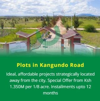 Optiven Contacts - Business this day