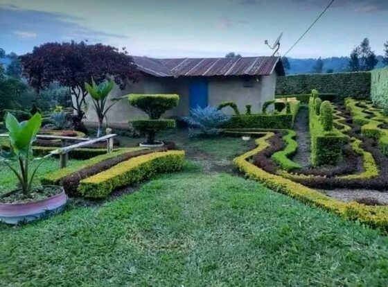 Beautiful Landscaping in a Semi Permanent house, see photos - Business ...