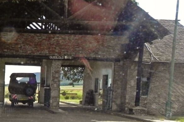 Difference between Safaricom Paybill and Till Number,how to apply for ...